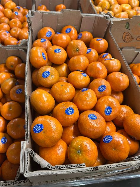 Jd Rodriguez Produce