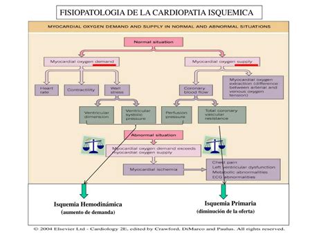 Ppt Fisiopatologia De La Cardiopatia Isquemica Powerpoint