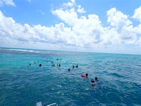 From The Classroom To The Coral Reef — Marinelab