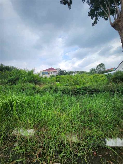 Turun 880juta Surya Inti Permata Row Jalan 12 Meter Double Way