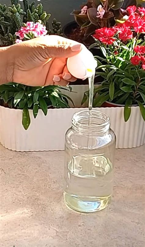 სახლი სიმწვანეში Added A New Photo სახლი სიმწვანეში