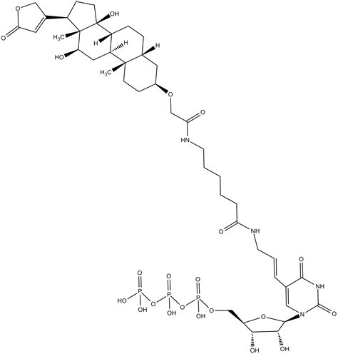 Digoxigenin 11 Utp Rna Labeling Reagent Apexbio