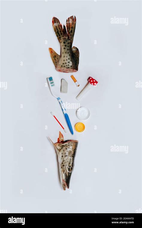 Plastic Items With Fish Pollution In The Ocean Environmental