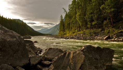 The Complete Guide To Measuring Turbidity In Water Hanna Instruments Australia