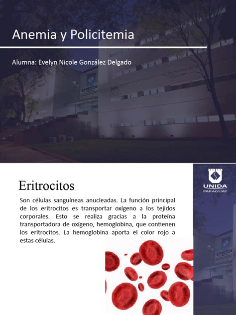 Anemia Y Policitemia Pdf