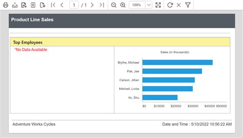 Display No Data Message For A Data Region Bold Reports