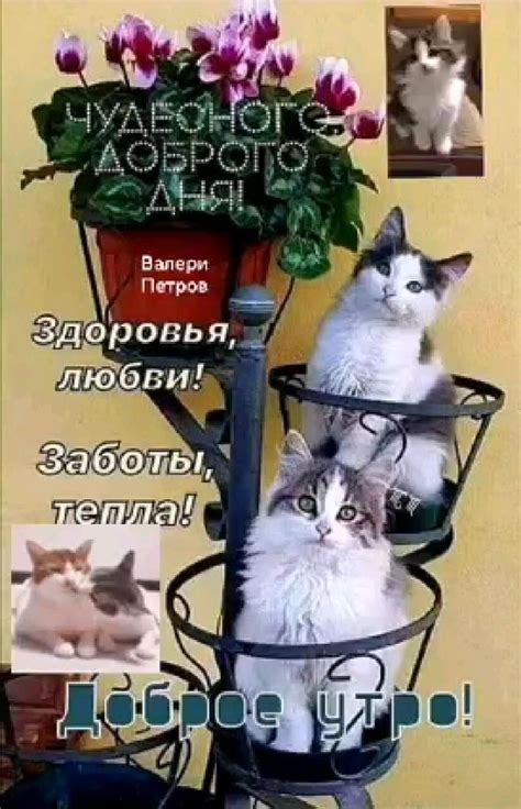 С Добрым утром Друзья 🌹☘️☕