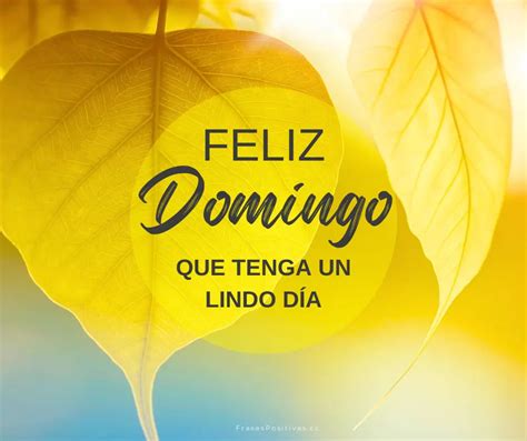 ¡buenos Días Domingo 70 Frases Positivas Bonitas Y Imágenes
