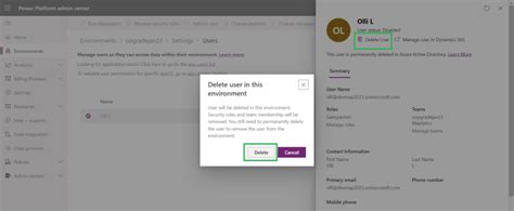How To Permanently Delete Disabled Users From Power Platform Microsoft Dynamics 365 Crm Tips