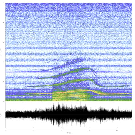 Where Is The Fundamental Frequency Of This Spectrogram Researchgate