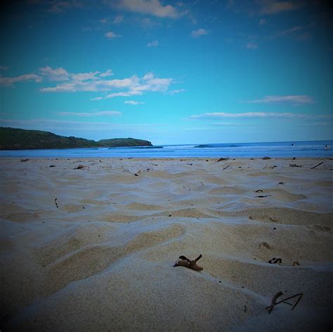 Killalea Beach Tay Hikes