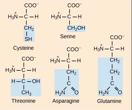 HAP Unit 3 Quiz Flashcards Quizlet