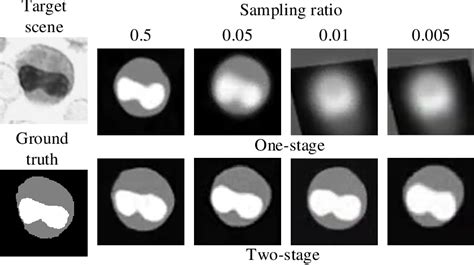Image Free Single Pixel Segmentation