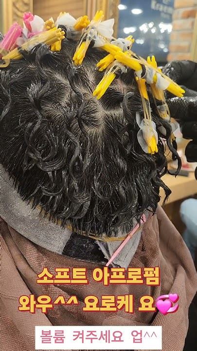 남자머리 파마 아프로펌 요로케해주세요 파마 남자머리 남자머리추천 스핀스왈로펌 히피펌 트위스트펌 뷰티 스타일링 레이어드컷 Shorts Youtube