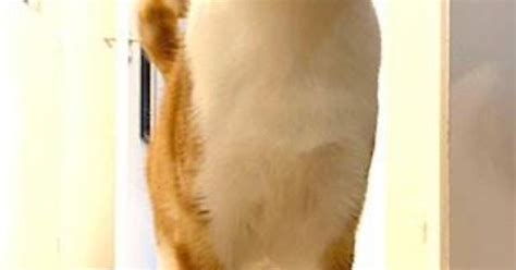 Meet Simba Album On Imgur