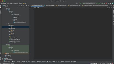 springboot 自动加载之静态资源导入 springboot加载静态资源 csdn博客