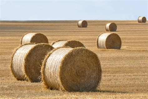 Hay Bales Stock Image Image Of Castle Field Rural Wheat 4135