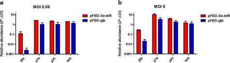 Gene Copy Number Determination After The Last Passages Relative Download Scientific Diagram