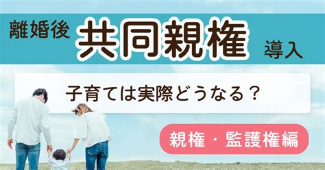 【親権】離婚後の親権・監護権は父親か母親どっち？決め方は？分けることはできる？ Dv・モラハラ・離婚で弁護士をお探しなら東京・足立区・北