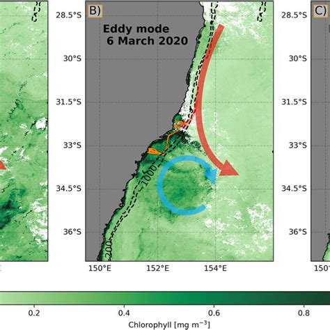 8‐day Composites Of Modis Chlorophyll Concentrations Centered On The