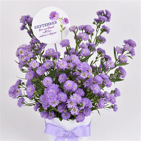 Order Aster Floral Arrangement Online Same Day Delivery Uae Fnp Ae