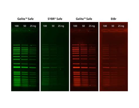 Nucleic Acid Quantification Scienze