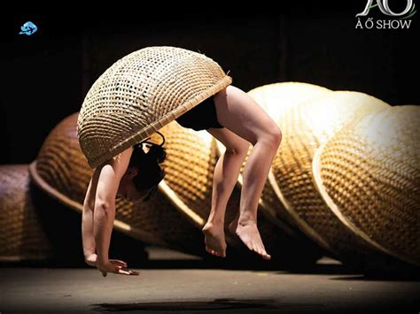 Understanding The South Through Ao Show Ho Chi Minh