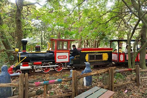 제주여행 미취학 필수코스 아이랑가볼만한곳 네이버 블로그