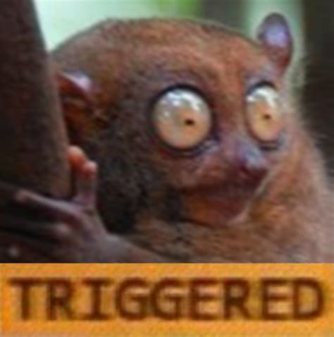 [triggered] trigger know your meme