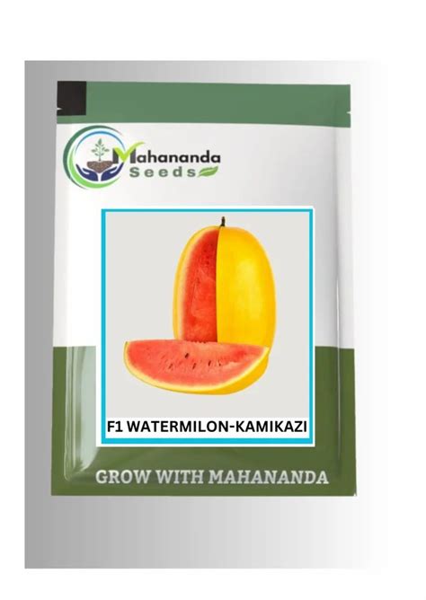F1 Hybrid Kamikazi Watermelon Seeds Oval Yellow Rind 3 5 Kg At