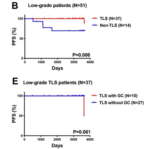 Representative Cases Of TLS Formation And Maturation Stage TLS Download Scientific Diagram