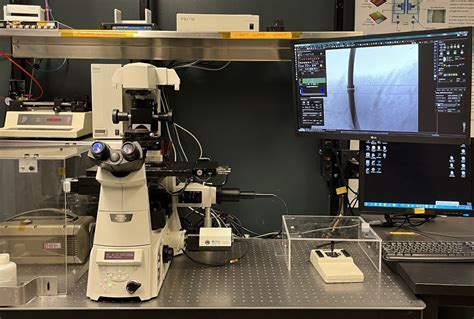 Microfluidic Systems For Point Of Care Heavy Metal Sensing A Review Water Institute Research