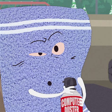 Mr Towelie