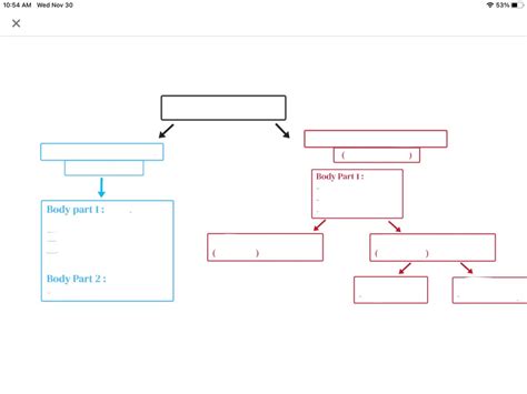Branches Diagram Quizlet Branches Diagram Quizlet