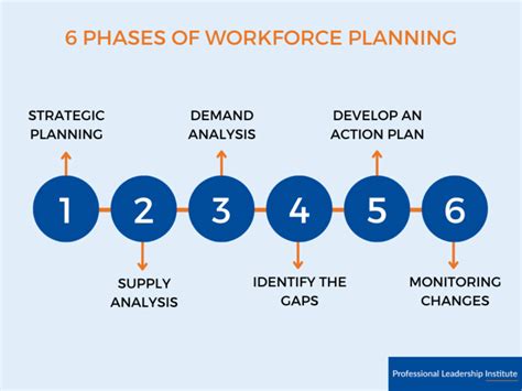 6 Phases Of Workforce Planning Professional Leadership Institute