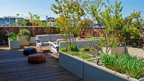 Small Rooftop Garden Sanctuary
