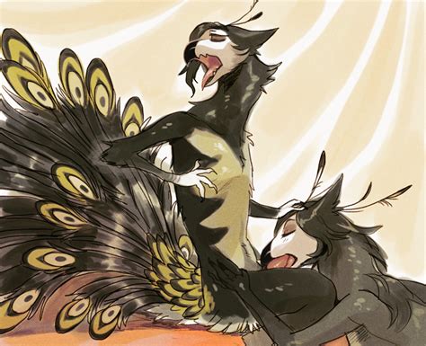 Rule 34 2013 Avian Bird Feathers Fellatio Female Jezebel Male