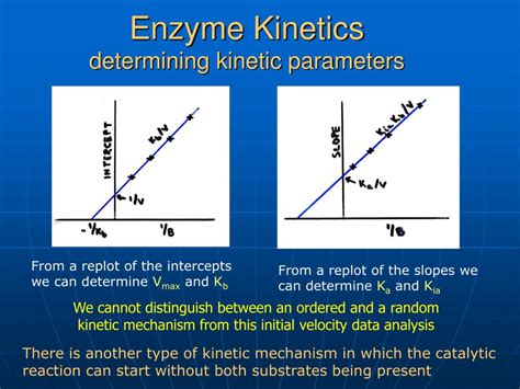 PPT Enzyme Kinetics PowerPoint Presentation Free Download ID 196477