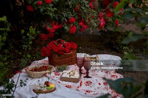 식탁보 마시멜로 마카롱 완두콩 딸기 와인 잔 정원의 분홍색 장미 중 체리가있는 여름 미적 핑크 피크닉 낭만적 인 저녁 식사