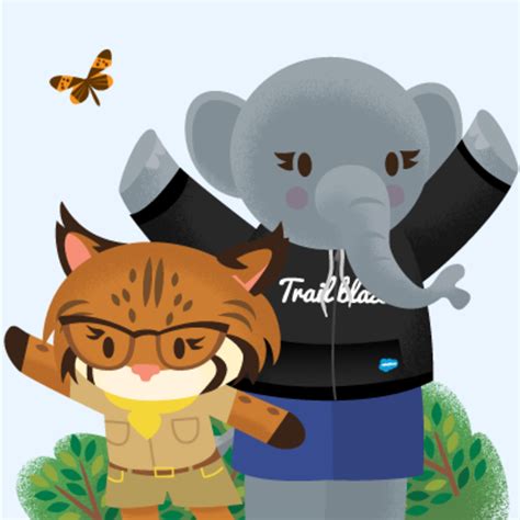 Trailblazer Community Salesforce Women In Tech Group Brussels Belgium