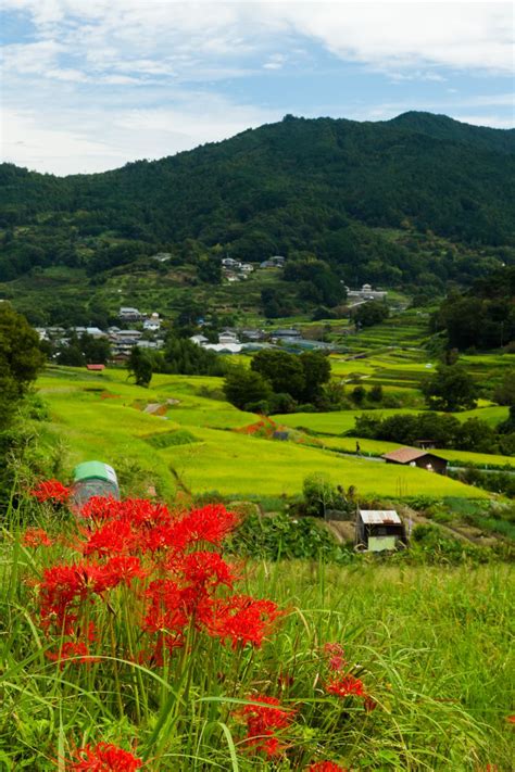 秋の里山 GANREF