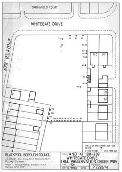Tree Preservation Order TPO027