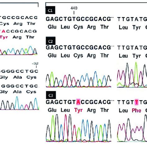 Detection Of Germline Double Mutations In The Ret Gene Pcr Direct
