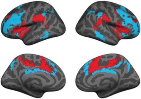 The Impact Of Affective Information On Working Memory A Pair Of Meta Analytic Reviews Of