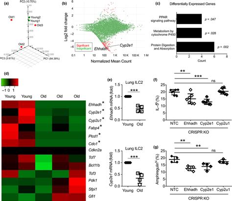 Aged Lung Ilc2 Display Genomic Heterogeneity And Have Greatly Reduced