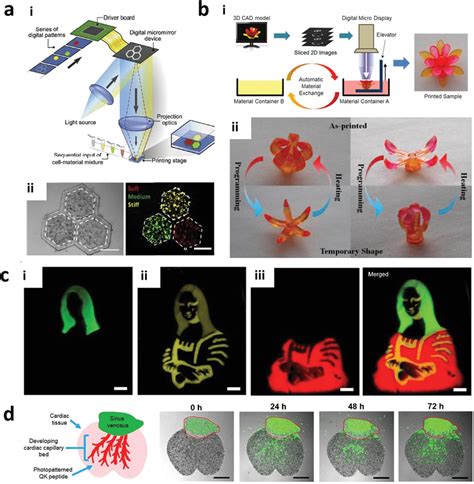 Use Of Multimaterials In Vat Polymerization A I Schematic Diagram Download Scientific