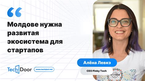 Интервью с Алёной Левкэ Развитие стартапов в Молдове Techdoor