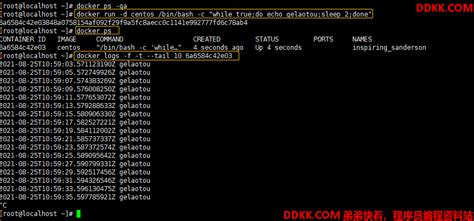 08、docker 实战:常用其他命令1 日志、元数据、进程的查看 Ddkkcom 弟弟快看 编程教程 08、docker 实战:常用其他命令1 日志、元数据、进程的查看 Ddkkcom 弟弟快看 编程教程
