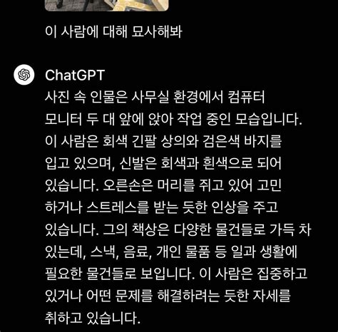 블라인드 블라블라 챗gpt 이미지 인식 지린다