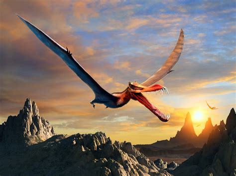 Cretaceous Flying Dinosaurs